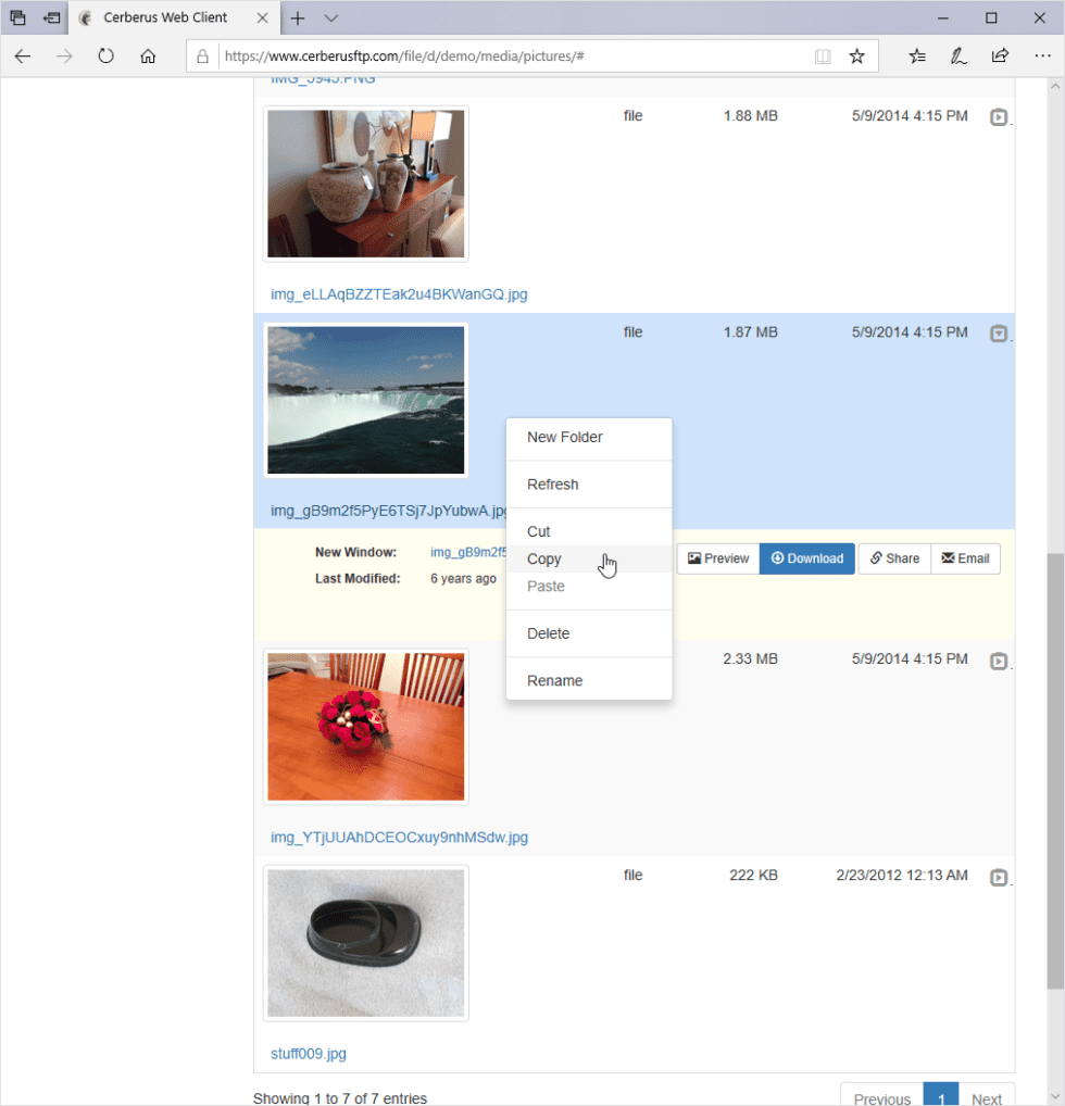 HTTPS Web Client | Cerberus FTP Server