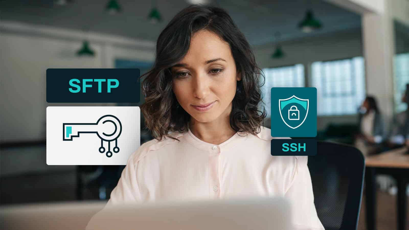 Sftp Server And Ssh Keys Your Complete Guide Cerberus Ftp Server