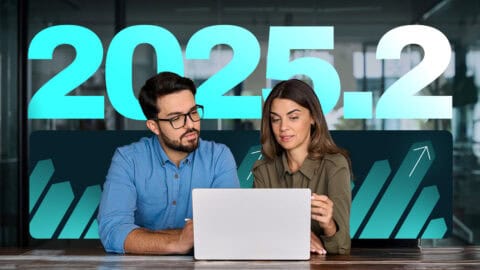 Cerberus by Redwood, version 2025.2: Improving performance and ...